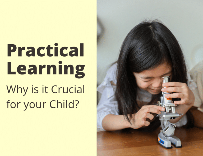 Advantages Of Practical Learning | New Horizon International School